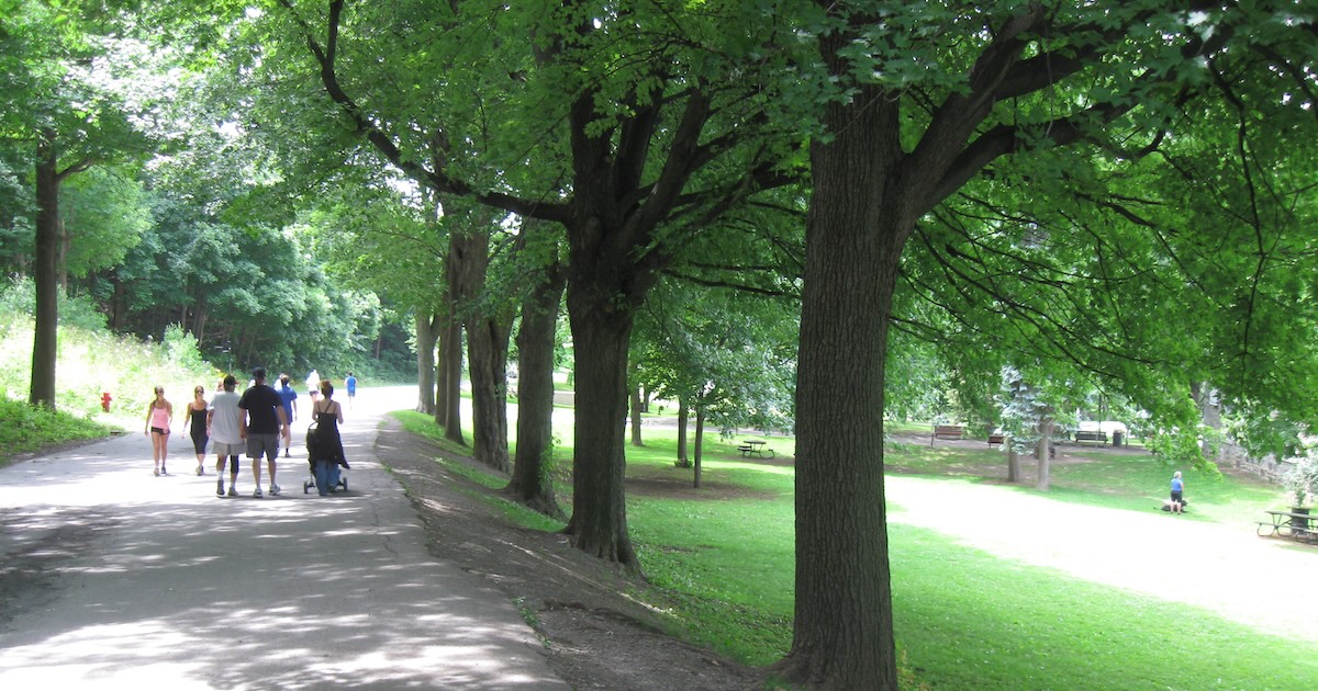 Parc du Mont-Royal | Site officiel du Mont-Royal